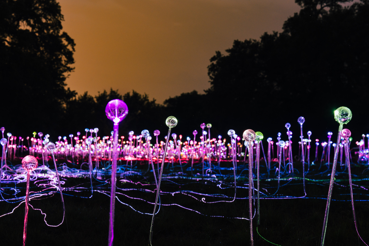 Austin.com Don't Miss Bruce Munro's Field of Light in Austin